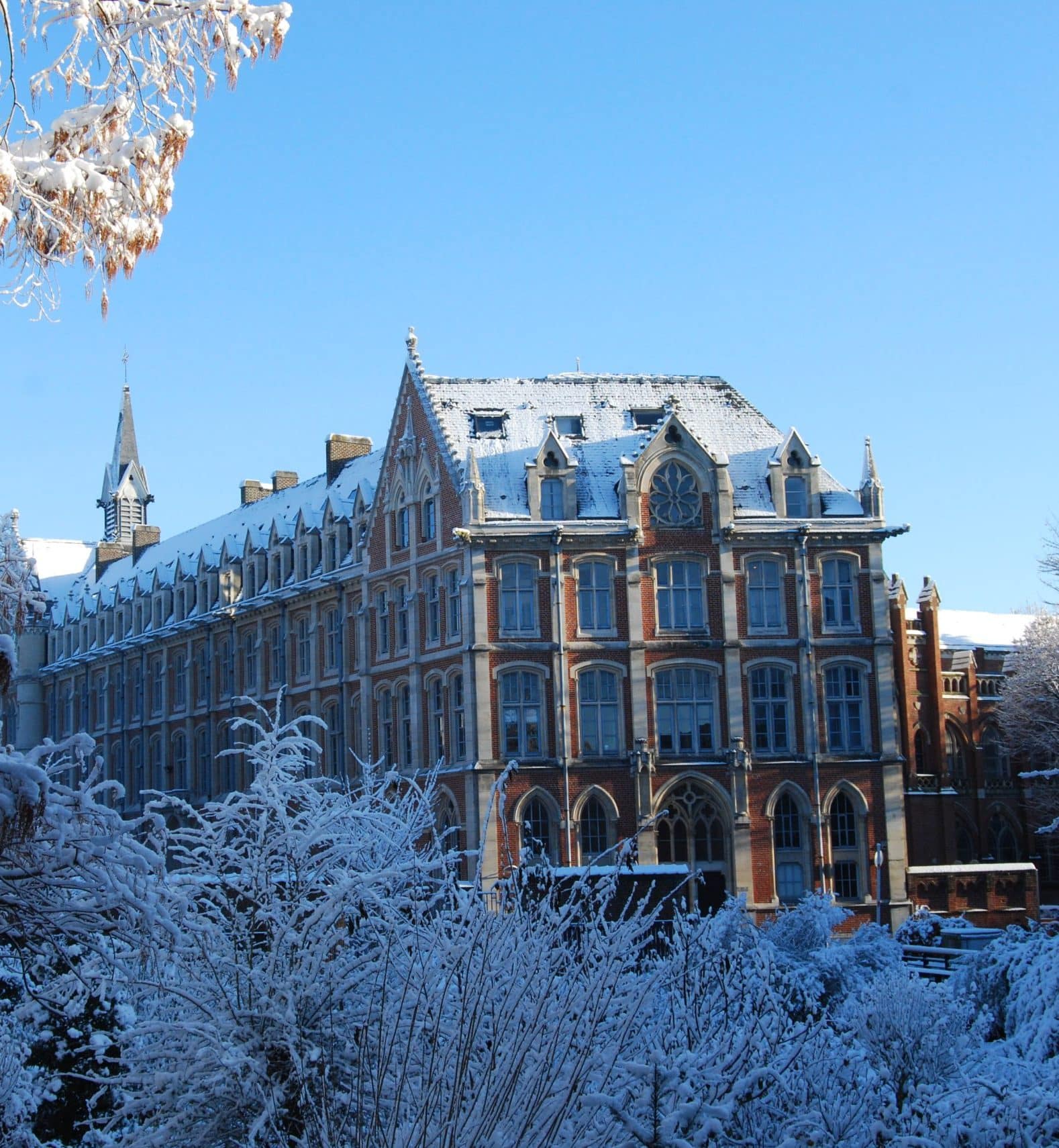 LILLE Programs | Université Catholique de Lille